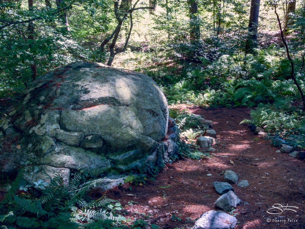 Explore the Beauty of New Jersey Botanical Garden Day Trip