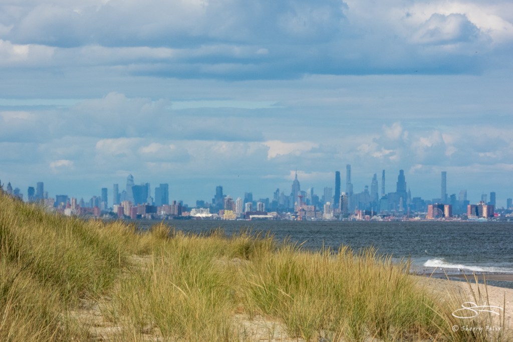Sandy Hook – Sherry Felix – port4u