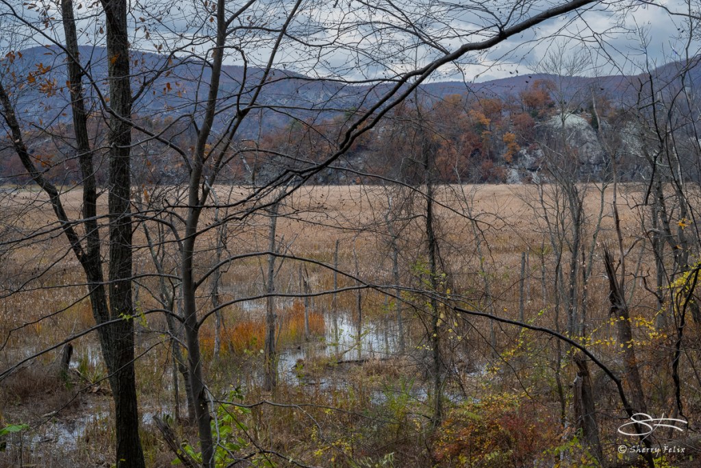 Explore Iona Island: Scenic Views and Hiking Adventures
